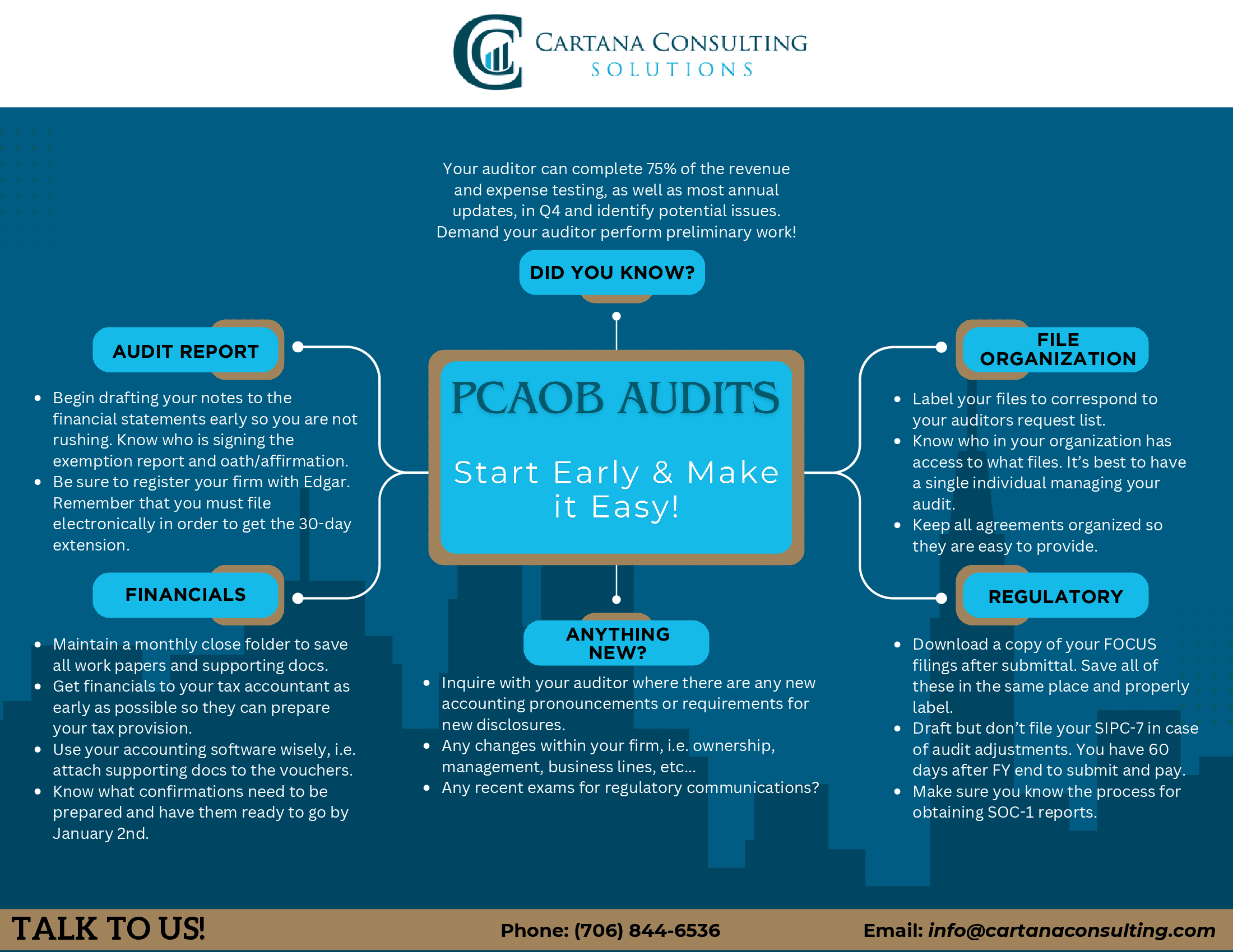 PCAOB Audit | Cartana Consulting Solutions LLC