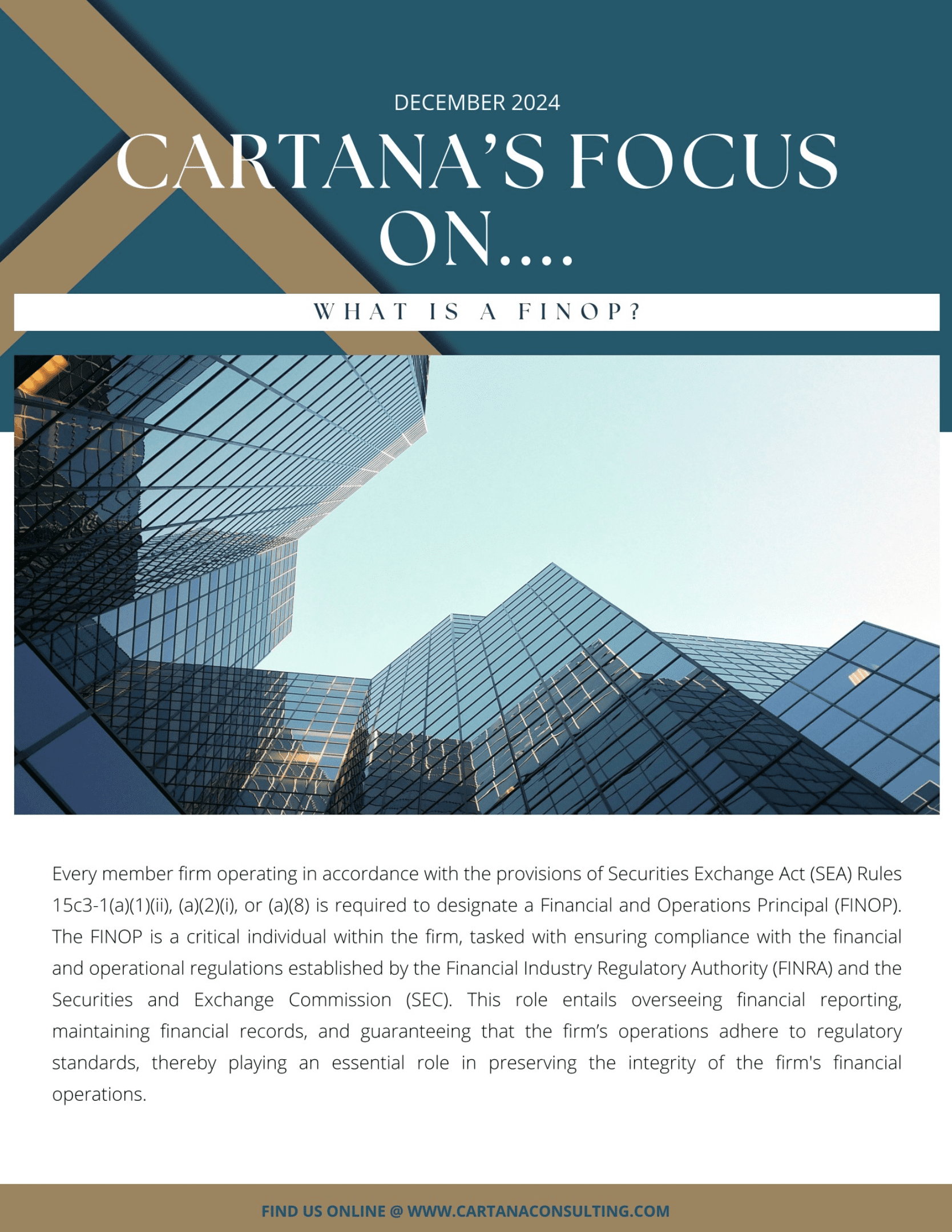 What is a FINOP? | Cartana Consulting Solutions LLC